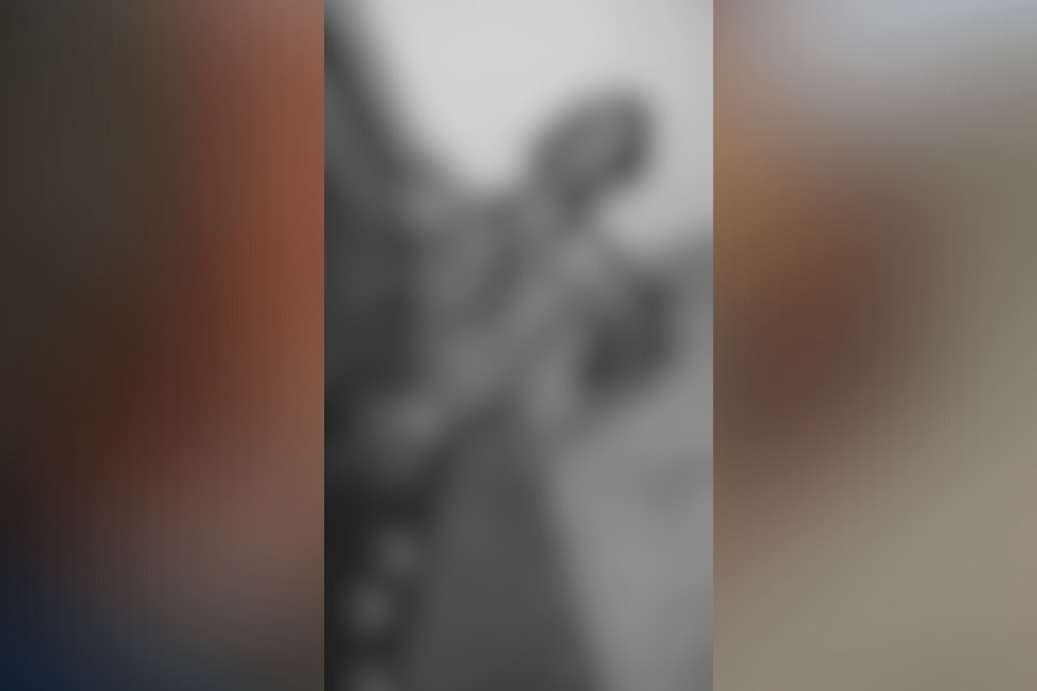 Vídeo de horror: 'Pato' é filmado agonizando até a morte após ser ...